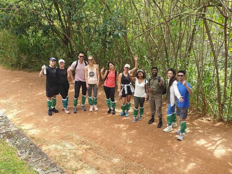 Hiking Trails Near Kandy: Things To Do In Kandy | Your Ultimate Guide